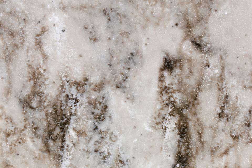 OFS - Canyon Creek - LivingStone